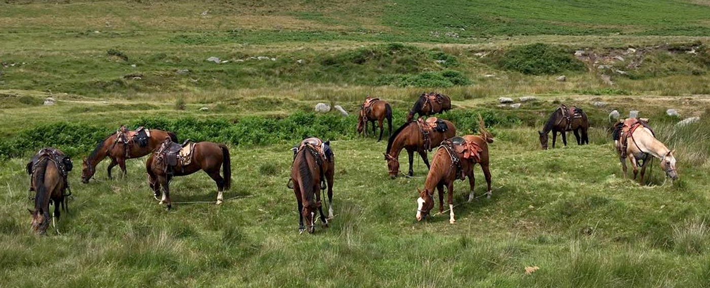 Ranch holidays, Riding Holidays, Horse Riding Dartmoor - Dartmoor ...