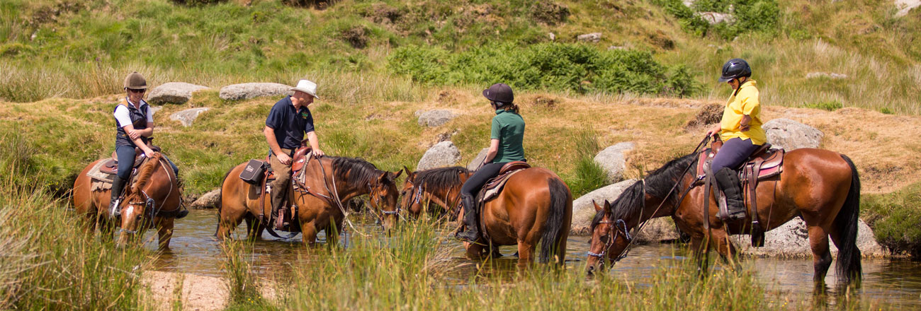 Dartmoor Day Rides | 1 Day Horse Riding Experiences on Dartmoor