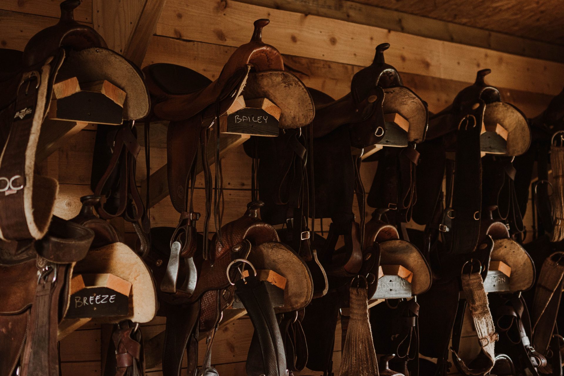 Dartmoor Day Rides | 1 Day Horse Riding Experiences on Dartmoor