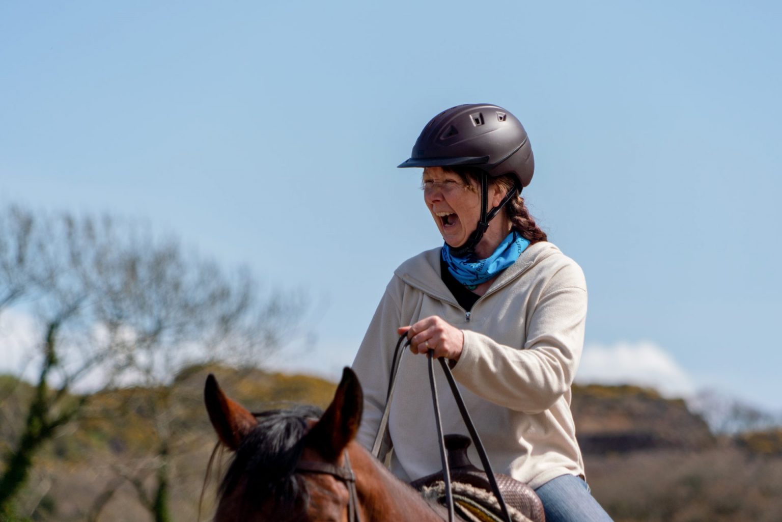 Dartmoor Trail Riding Holidays | Dartmoor Ranch Holidays