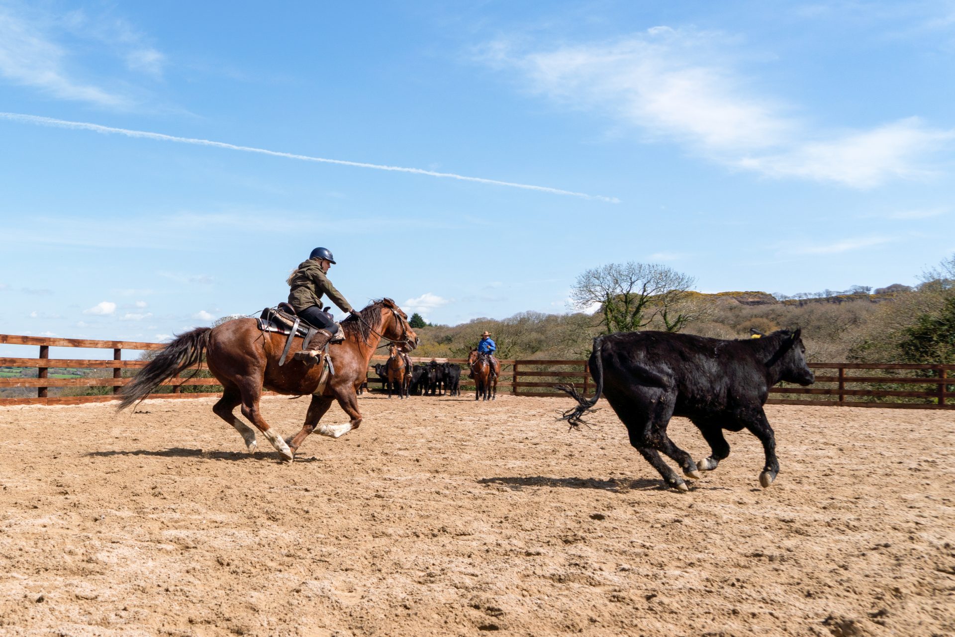 2023-04-25 DRH Western Experience (384) - Dartmoor Riding Holidays