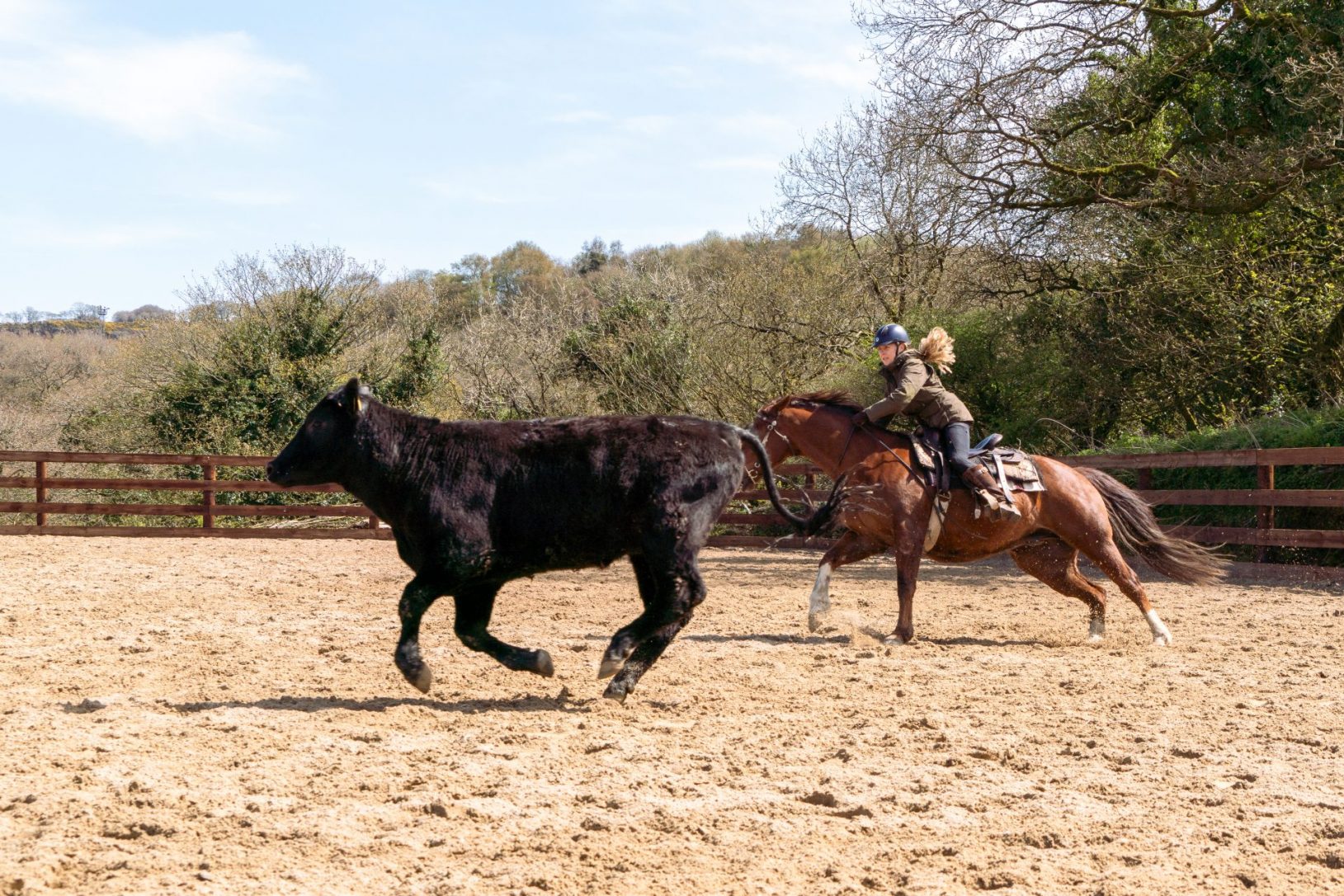 Dartmoor Trail Riding Holidays | Dartmoor Ranch Holidays