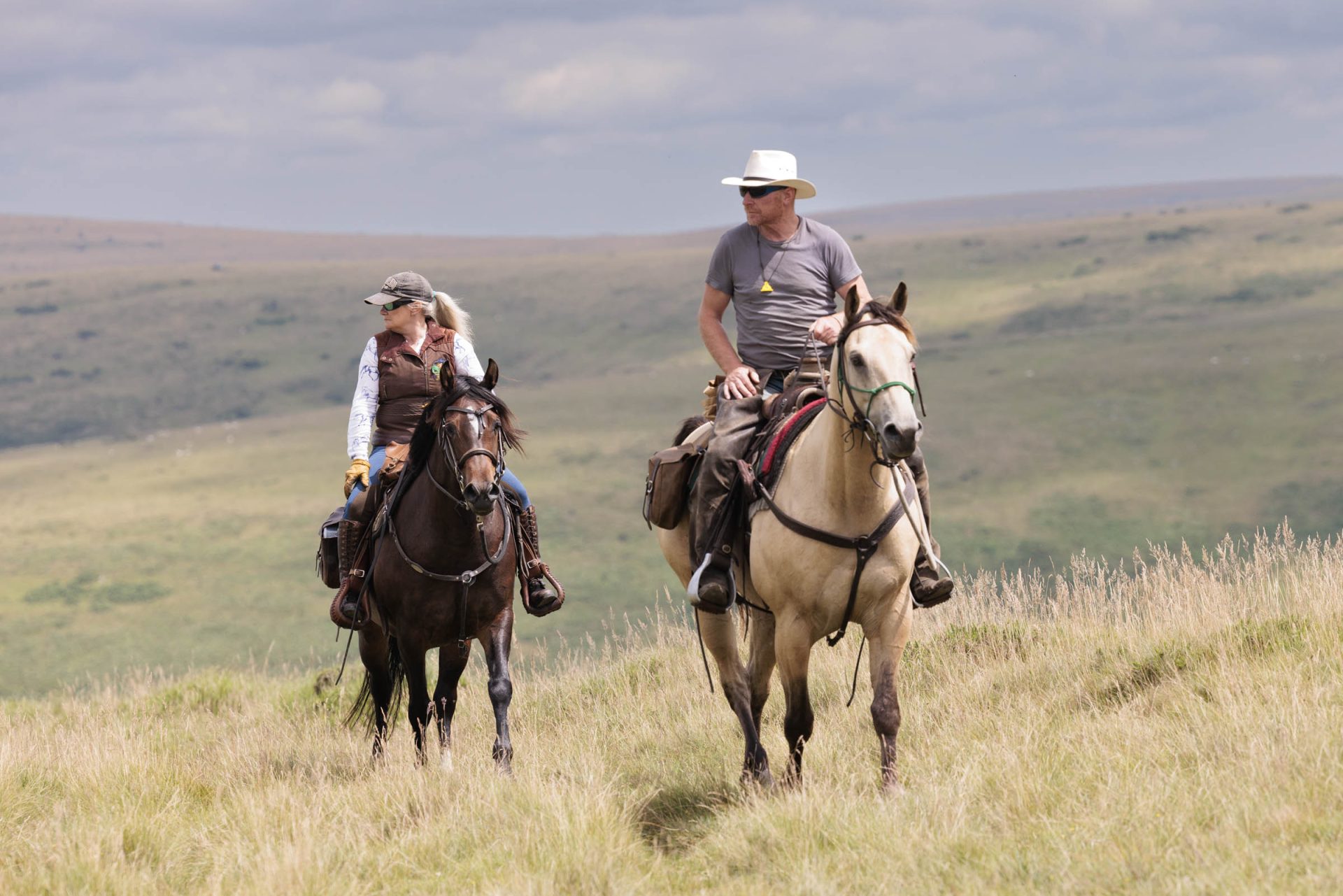 MSR56683 - Dartmoor Riding Holidays